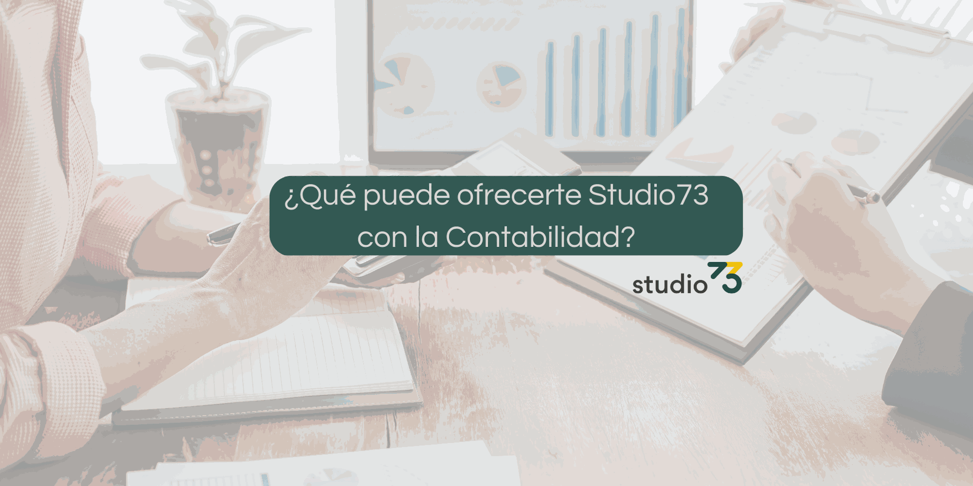 ¿Qué puede ofrecerte Studio73 con la Contabilidad? | Studio73 Consultoría Informática